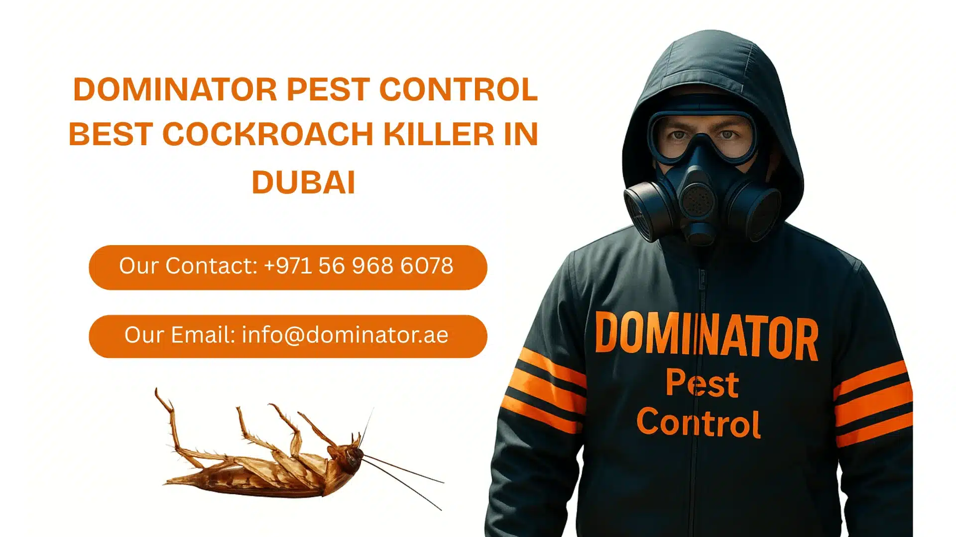 No #1 Best Cockroach Killer Guide to Effective Solutions